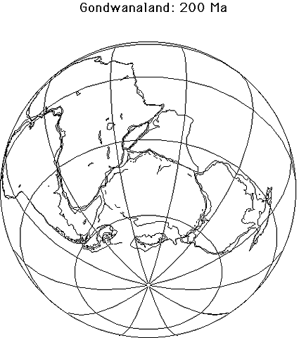 ELEPHANTITIS: BONERVILLE PHOTO FINDS