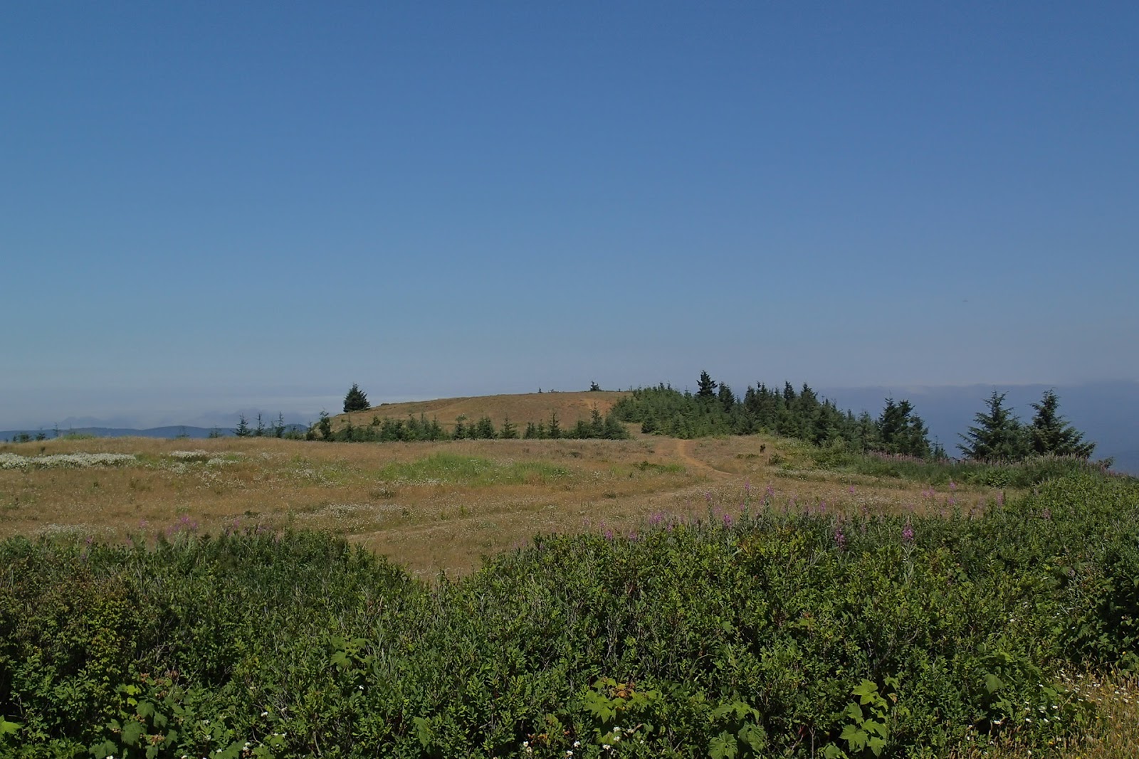 Casing Oregon: A Mt. Hebo Family Gathering: Ravens, Radar, and Rough ...
