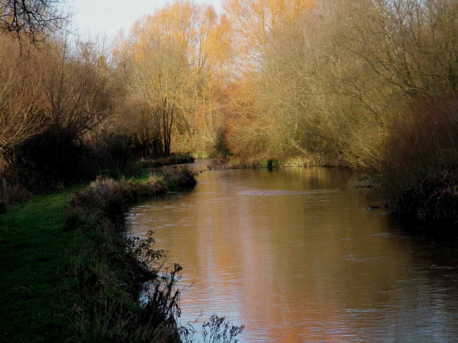 River Fly Box: The River Anton
