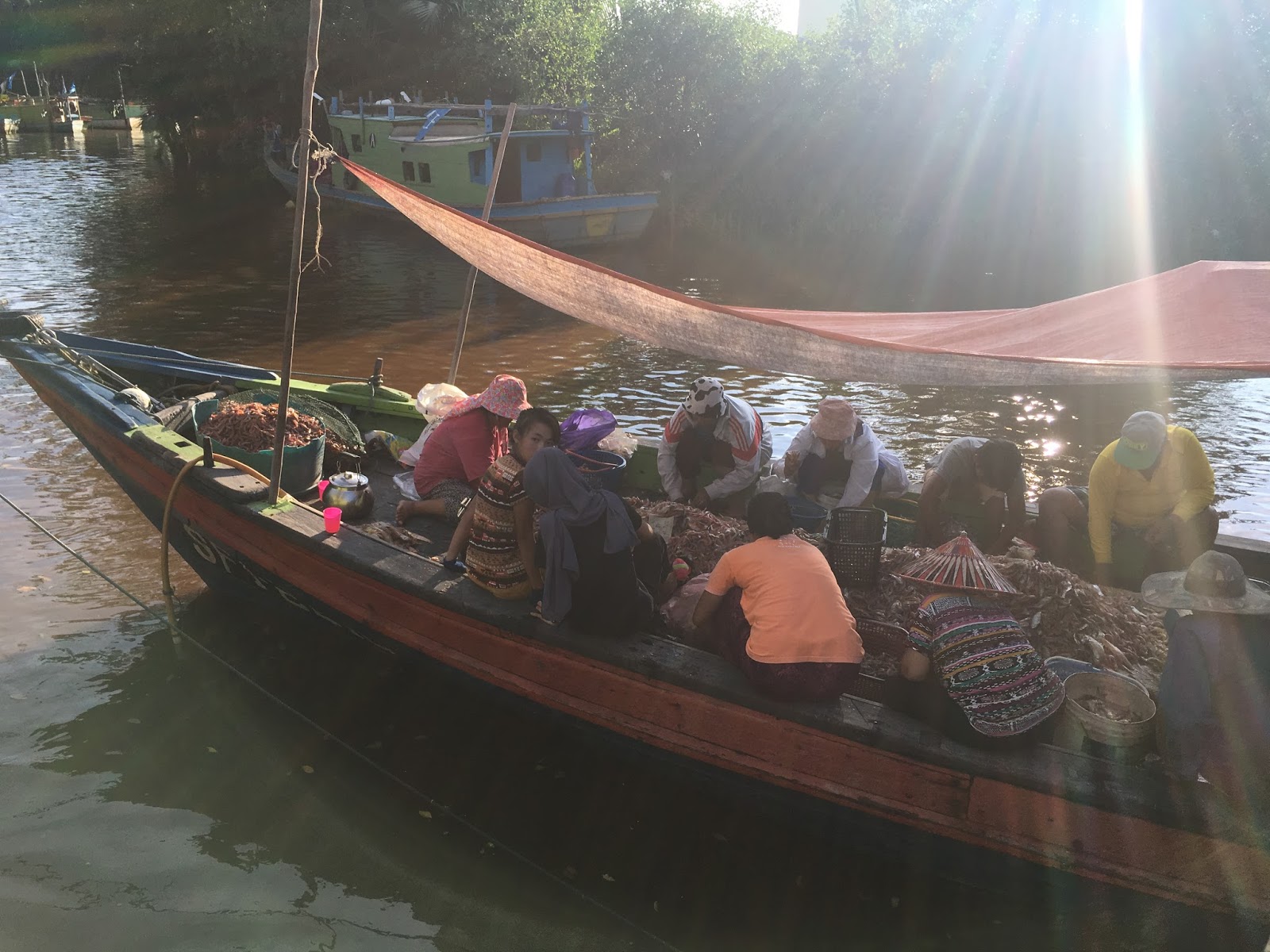 IZZ HUZNIE IDRAQIE: MUSIM PAYAK & UDANG KEMBALI DI MALUDAM SARAWAK