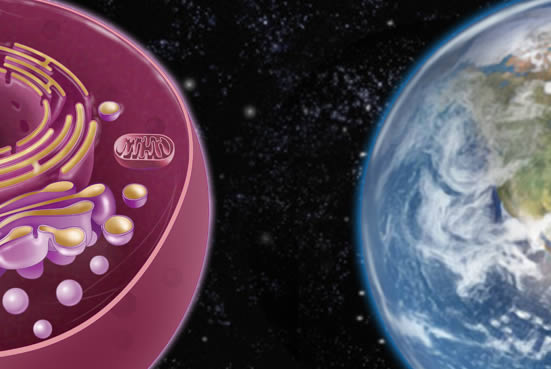 Carolyn W.'s AP English Blog: 2015