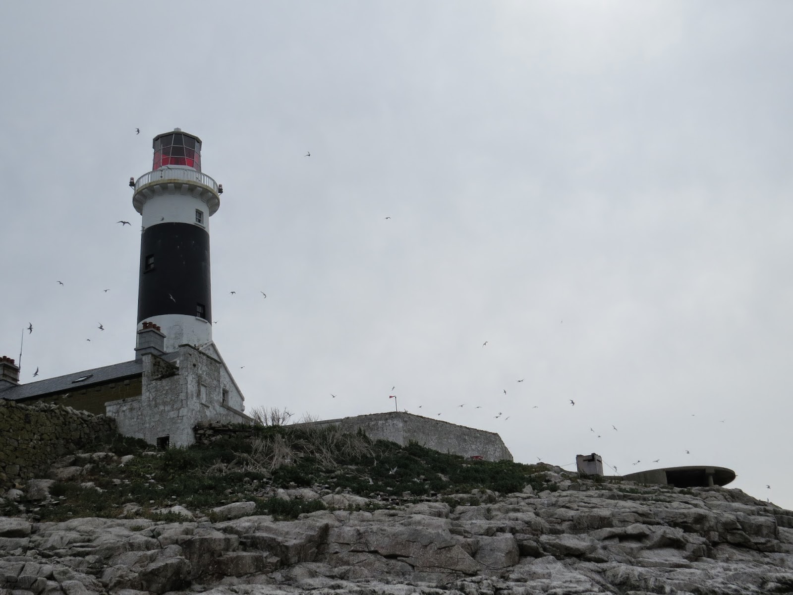 Pete's Irish Lighthouses: Rockabill
