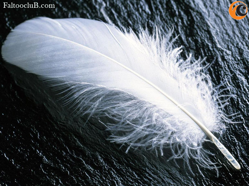 Faltooclub.com: Oboi desktop wallpapers