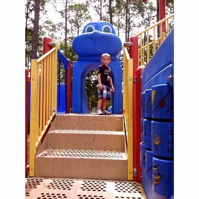 Wordless Wednesday: Howard Peeples park (iPhoto)!