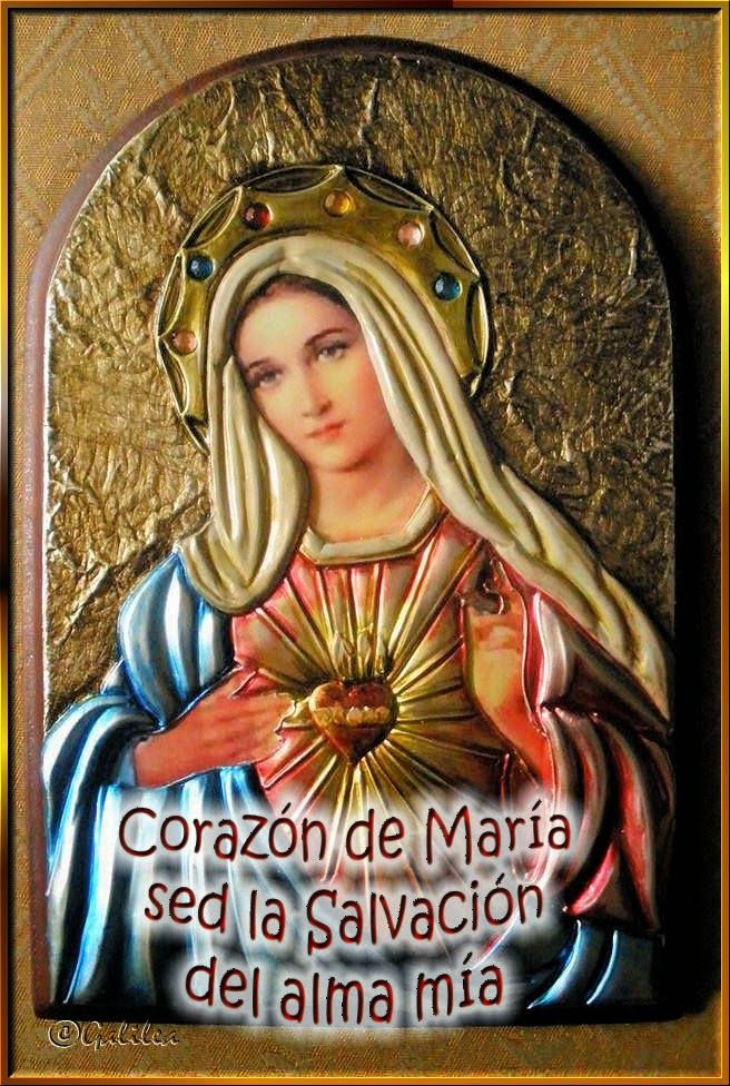 ® SAGRADOS CORAZONES DE JESÚS Y MARÍA ®: IMÁGENES DEL INMACULADO ...