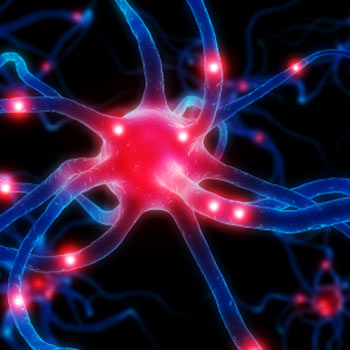 #122 Hormonal communication | Biology Notes for A level