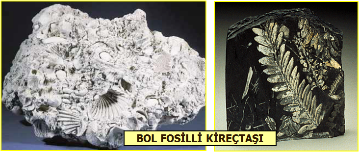 TÜRKÇE JEOLOJİ BİLGİ SAYFASI: KAYAÇLAR