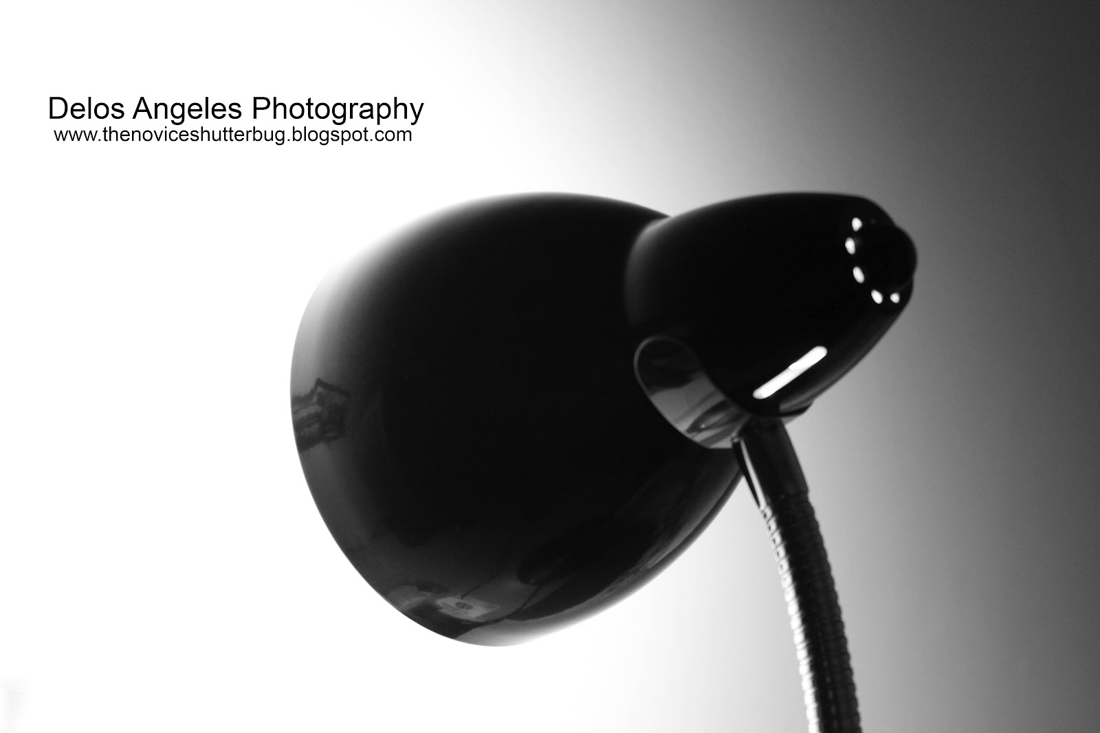 The Novice Shutterbug: Black & White Experiment