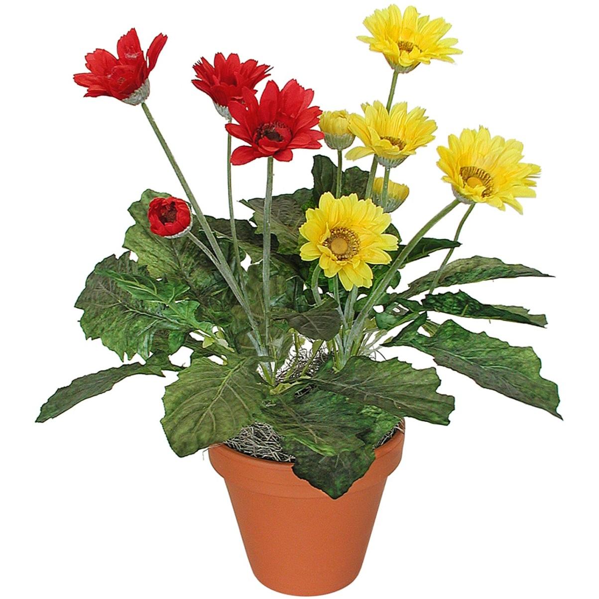 46+ Bunga Hias Pojok Rumah, Inspirasi Yang Pas Untuk Hunian Anda