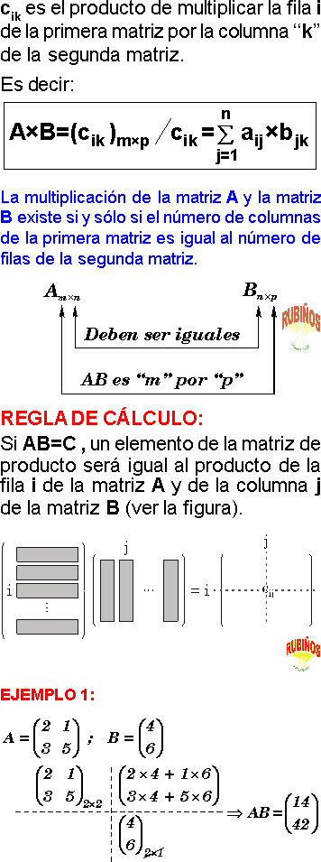 MATRICES EJERCICIOS RESUELTOS PDF