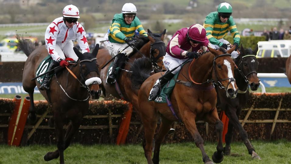 Cheltenham Roar: Championship Races