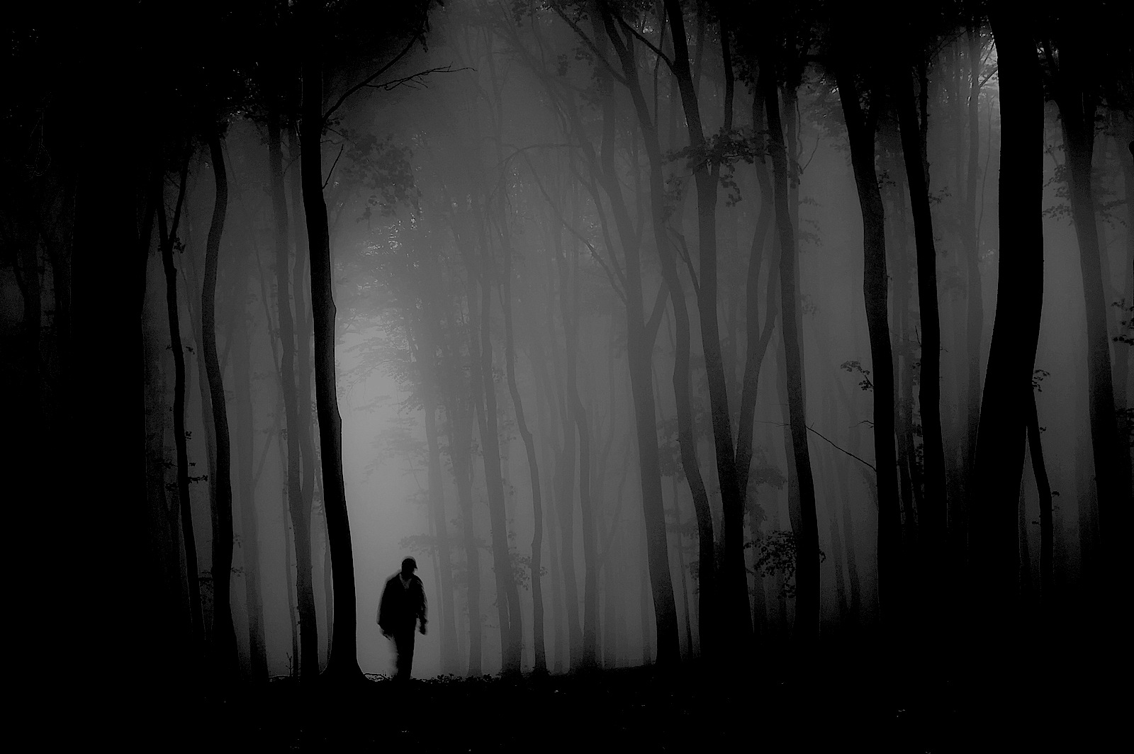 Un alma navegante: Umbrío