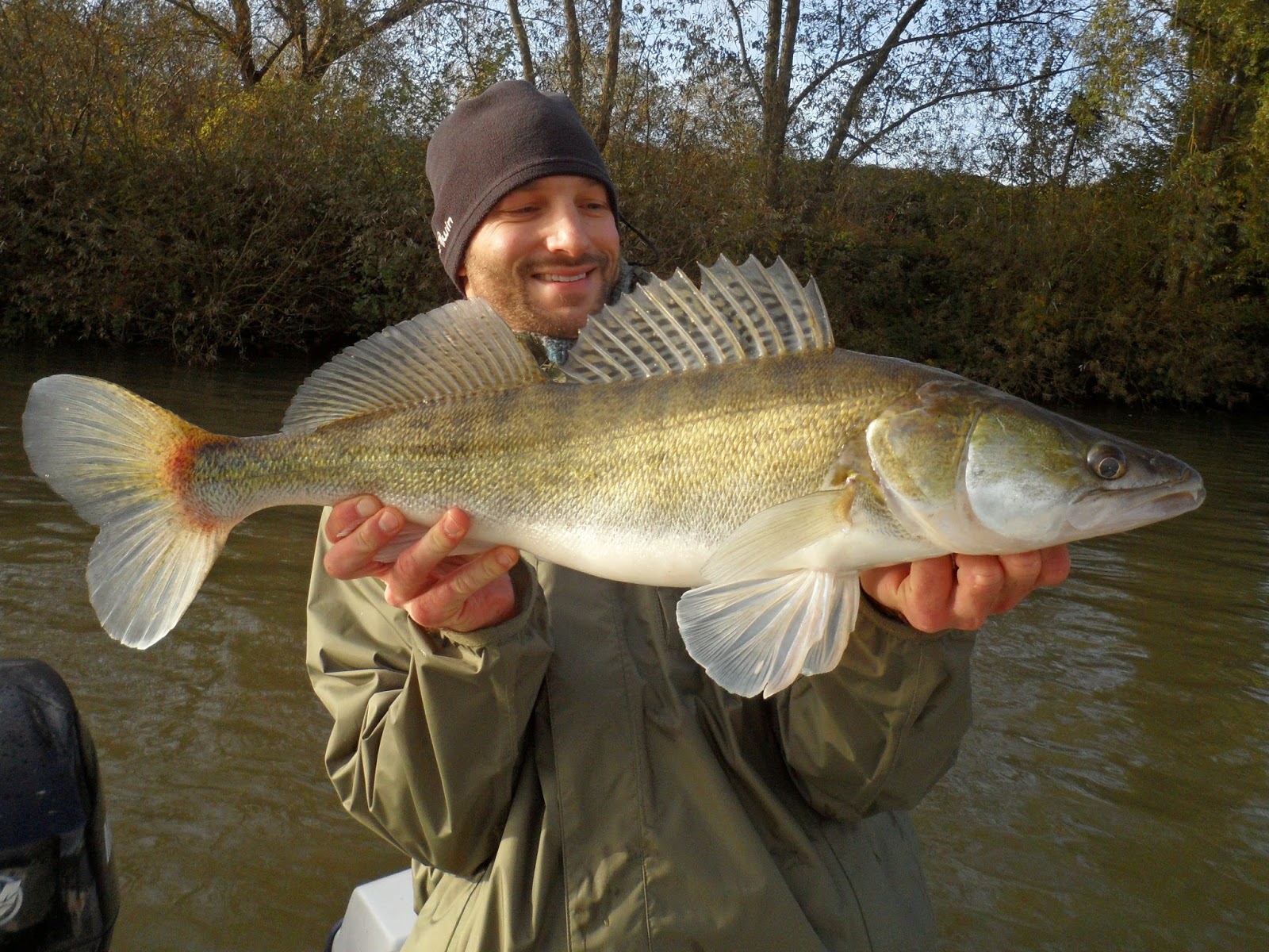 Pêche du carnassier en Seine: Record sandre pour Romain.