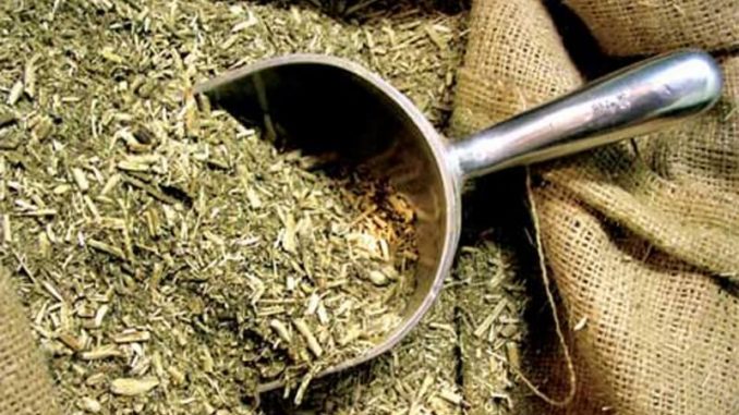 ¿Que es la Yerba Orgánica?