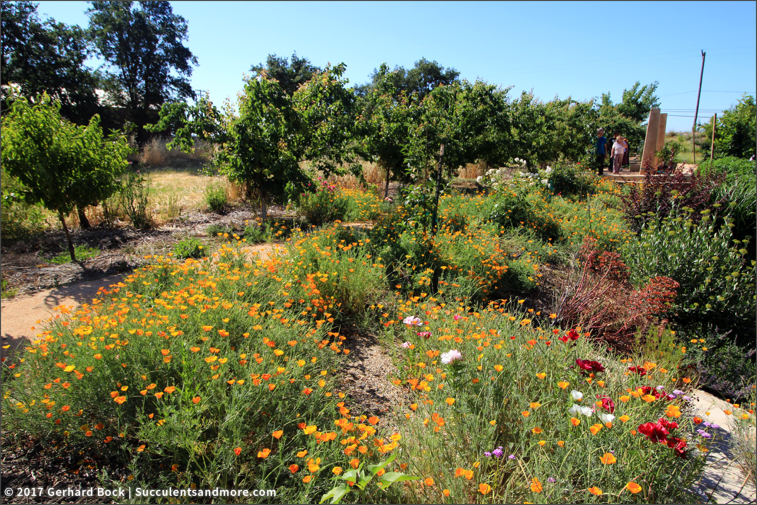 Gardening splendor on two acres in the country