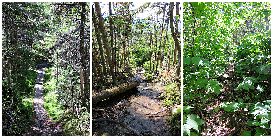 Hiking in the White Mountains: Mahoosuc Range Traverse