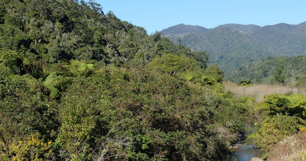 Halswell Community Blog: The happy story of a former resident of Halswell