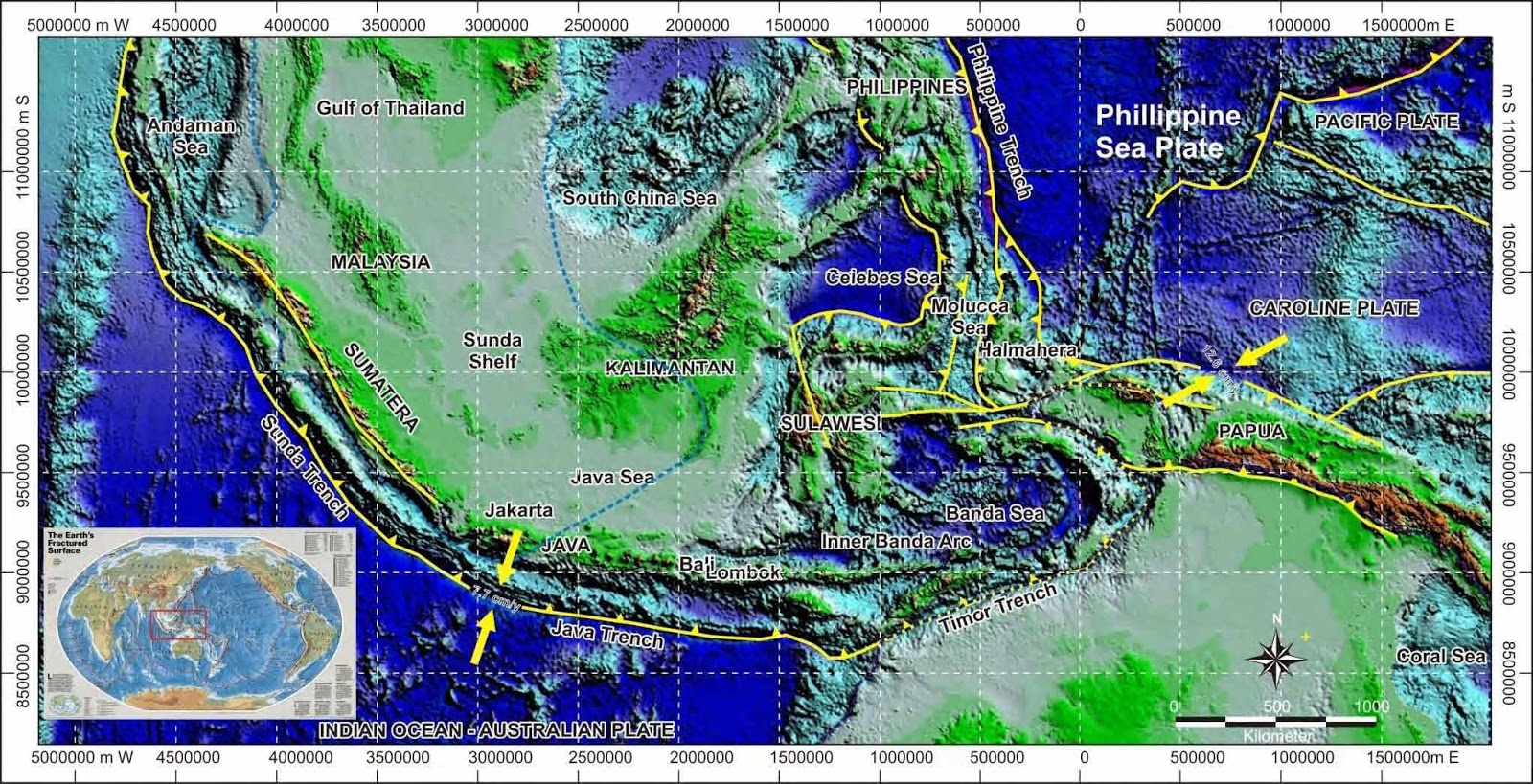 Catatan Pengetahuan: Perbandingan 2 profesi dengan 1 bidang yang sama ...