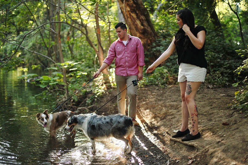 amanda flinn photography: Tessa + Nathan