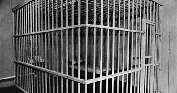 FaithWeb: Domesticated Jesus