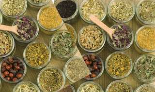 Simplisia: Definisi dan penggolongan simplisia