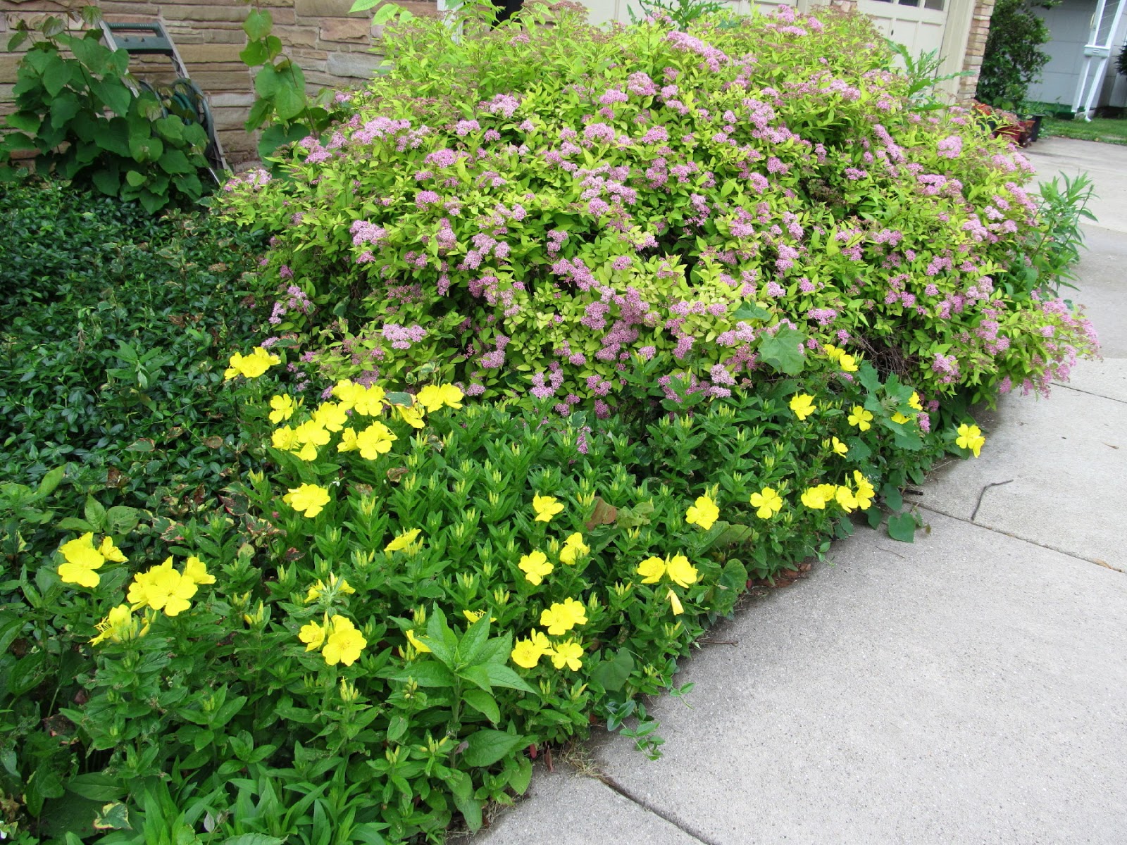 Exuberant Color : Double 4 patch start........