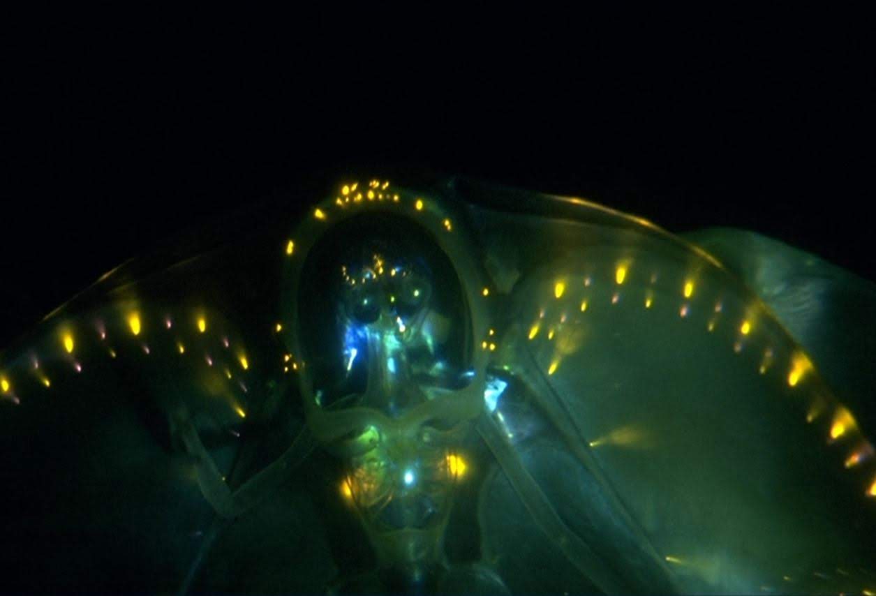 model ships in the cinema: The Abyss 1989 Part 4