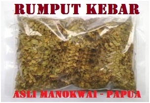 Rumput Kebar | IklanBaru2013