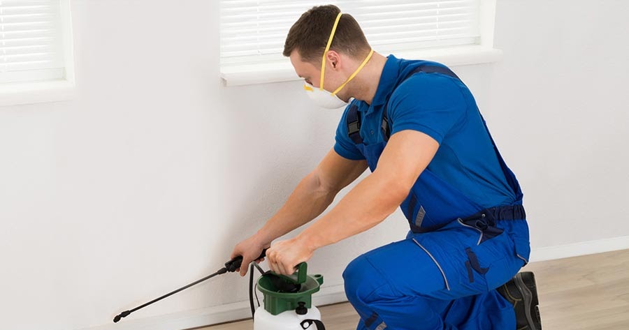 Easy Steps in the PEST Process for Beginners