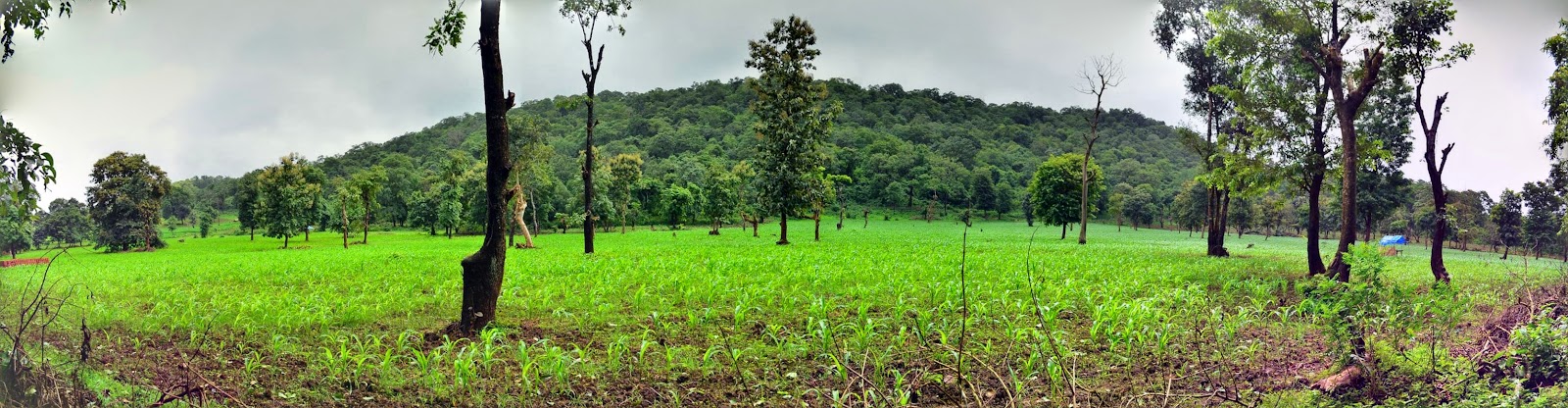 Sharath Hassan A Travelling Photographer: Hosagunda Temple, Hosagunda ...