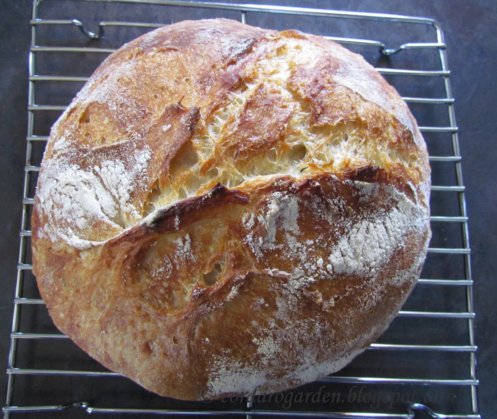 The Gardener of Eden: July 2011