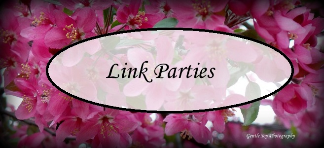 Gentle Joy Homemaker: Link Parties
