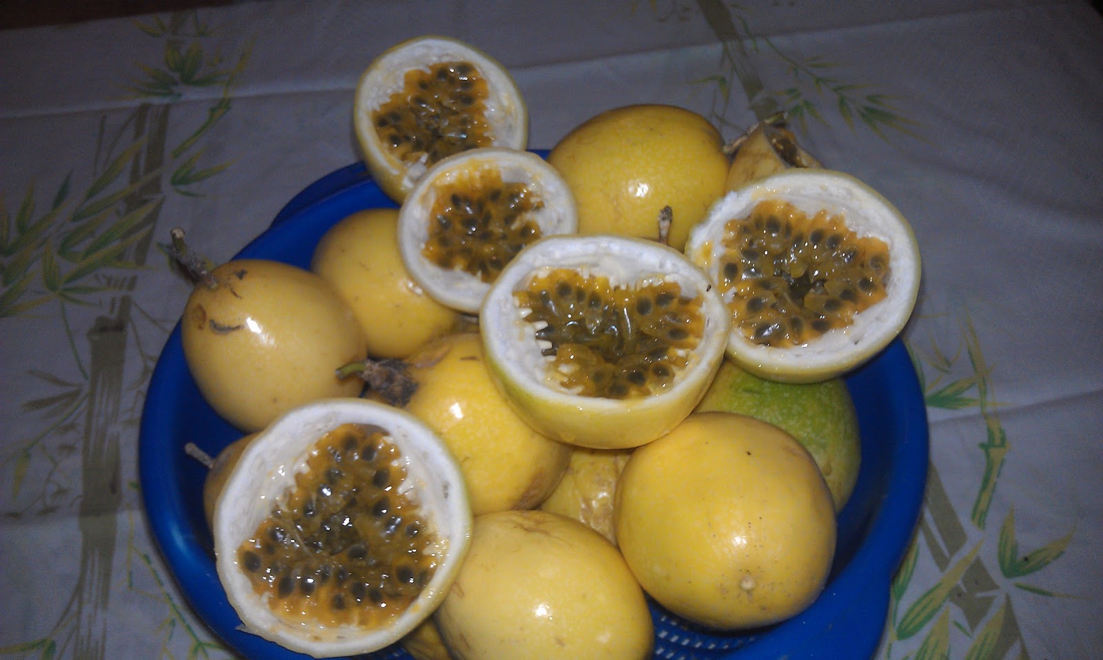 MI TECHO VERDE: La Parchita ( Passiflora edulis var. flavicarpa), En ...