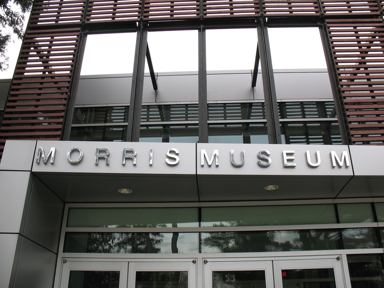 A Review of The Morris Museum | The Jersey Momma