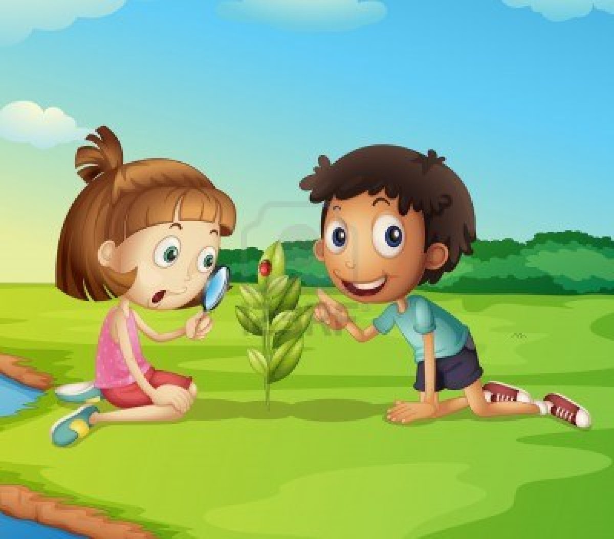 EXPEDICIÓN BOTÁNICA