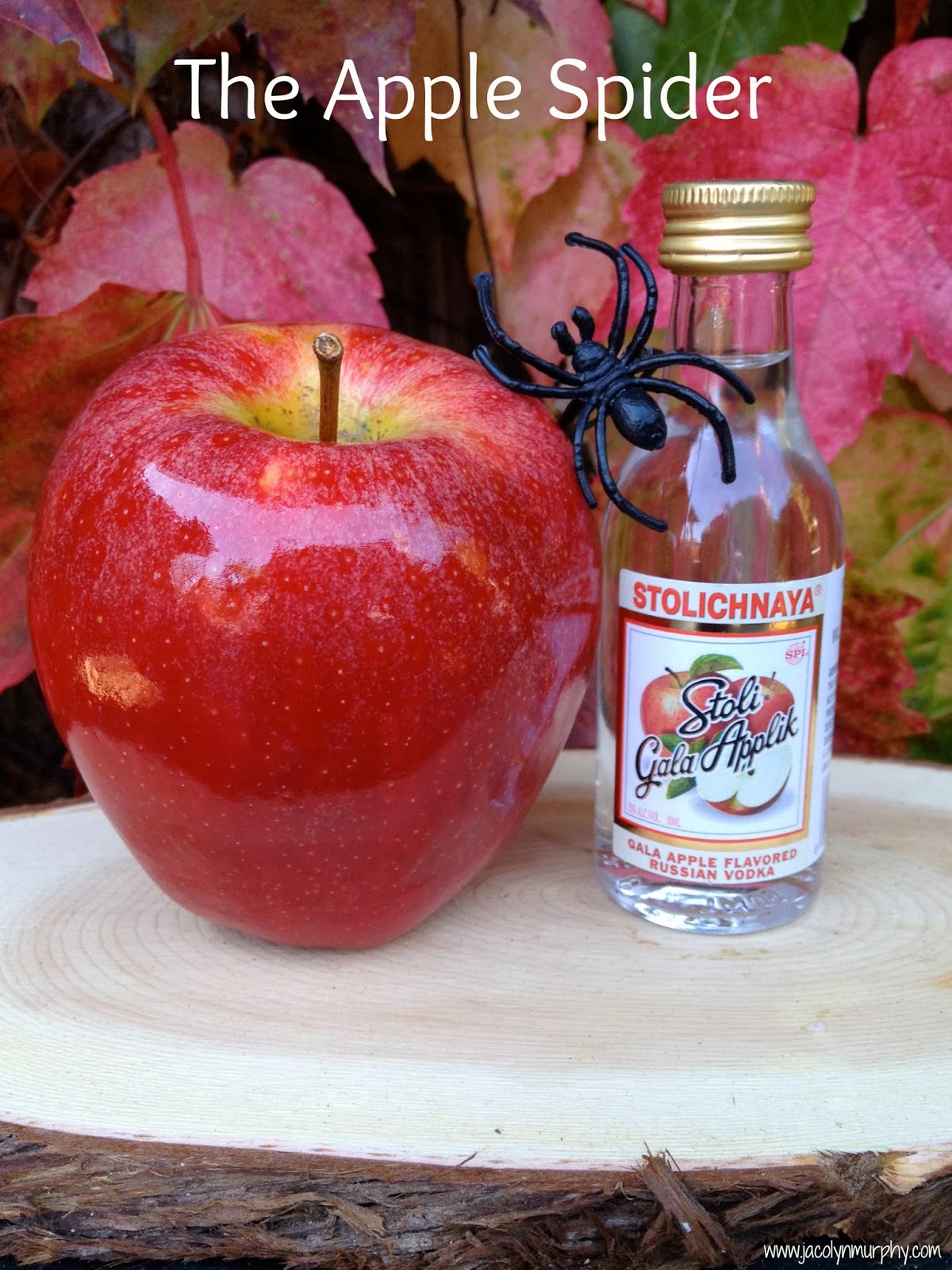 Jac o' lyn Murphy: An Apple (Cocktail) a day...Festive Fall Drinks
