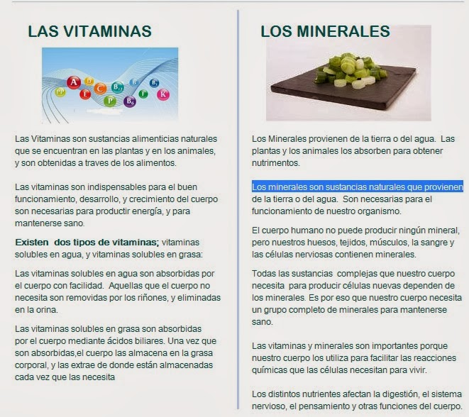 Vitaminas y Minerales; ¿Cuál es su Función?