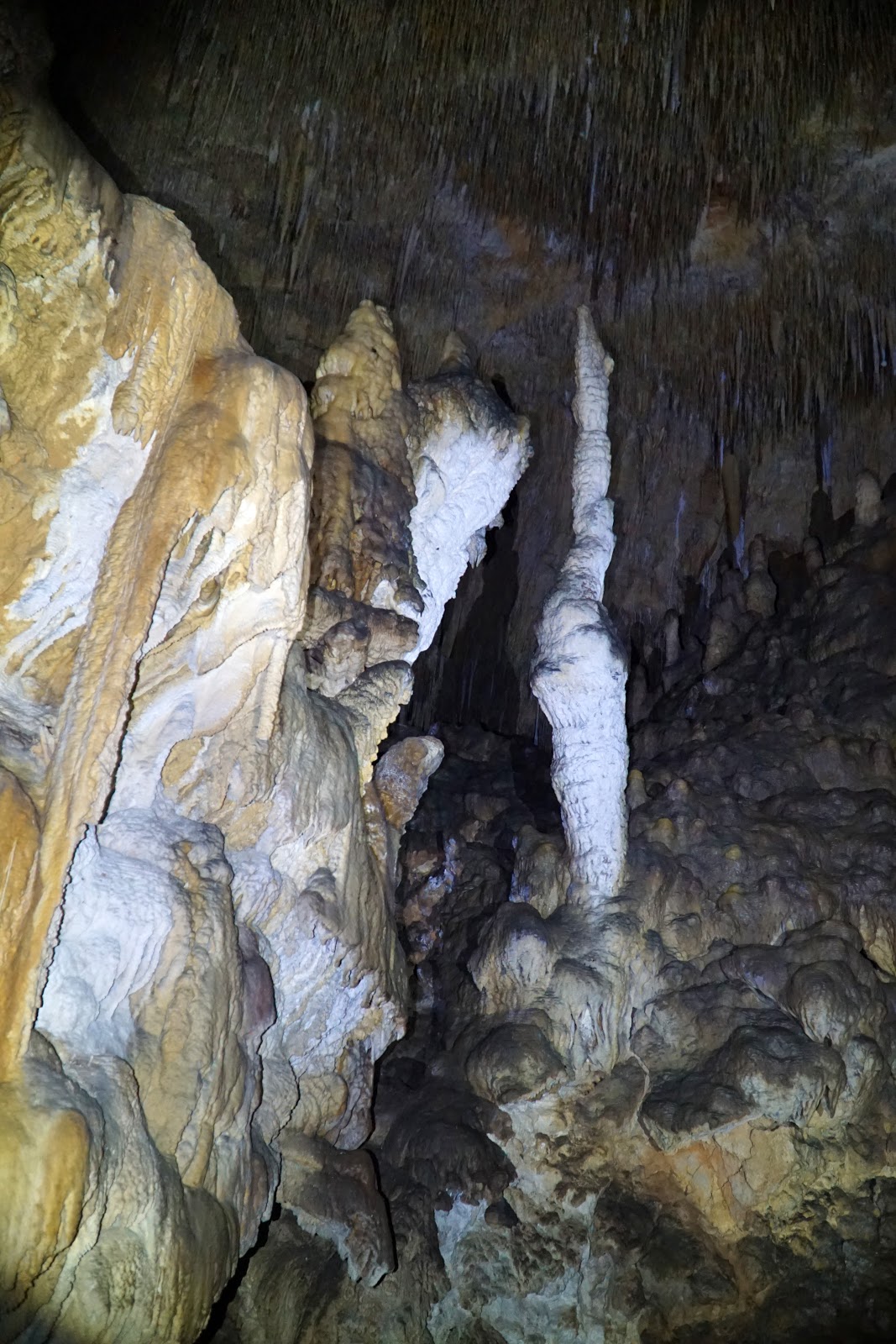 Calgardup Cave (Leeuwin-Naturaliste National Park) ~ The Long Way's Better