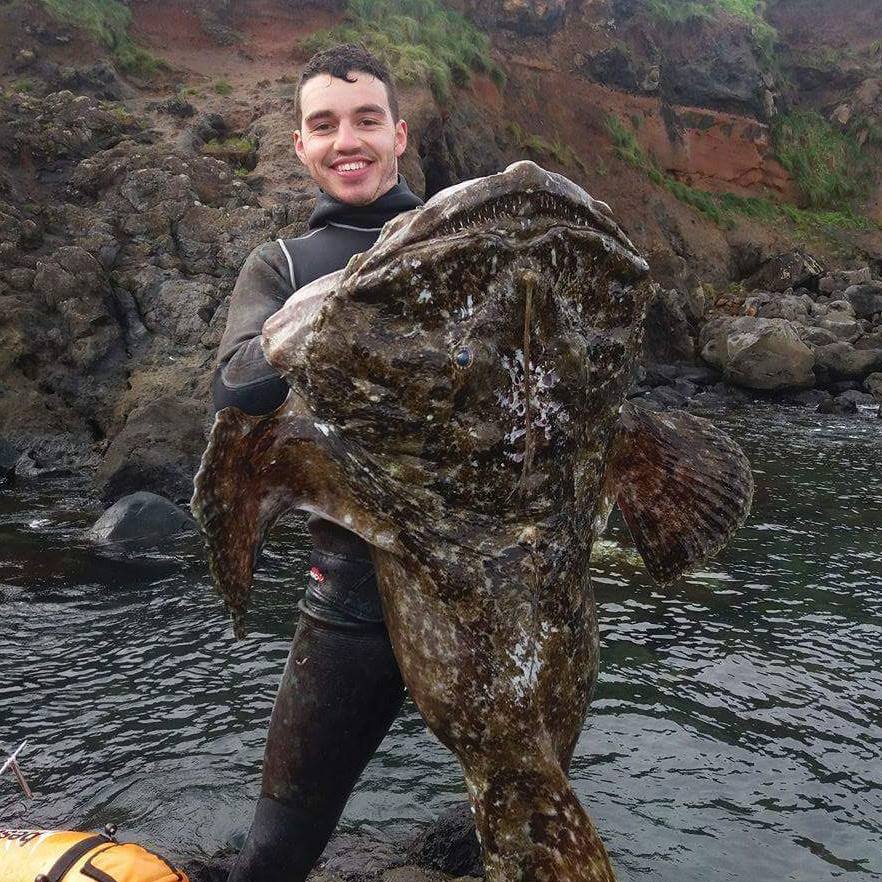 Açoriano apanha maior Tamboril do Mundo na ilha Terceira - I Love Azores