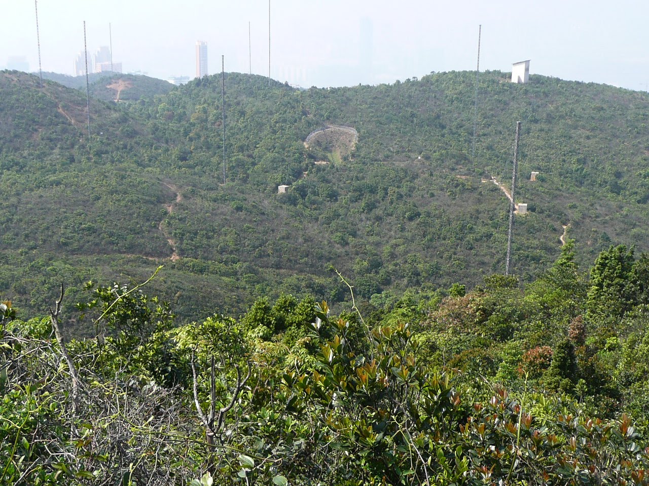 WEBS OF SIGNIFICANCE: From Mount Butler down to Braemar Hill (Photo-essay)