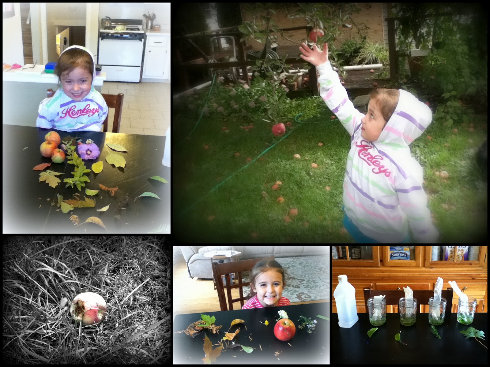 Mommy Magic!: Preschool Week 2: Fun with Fall