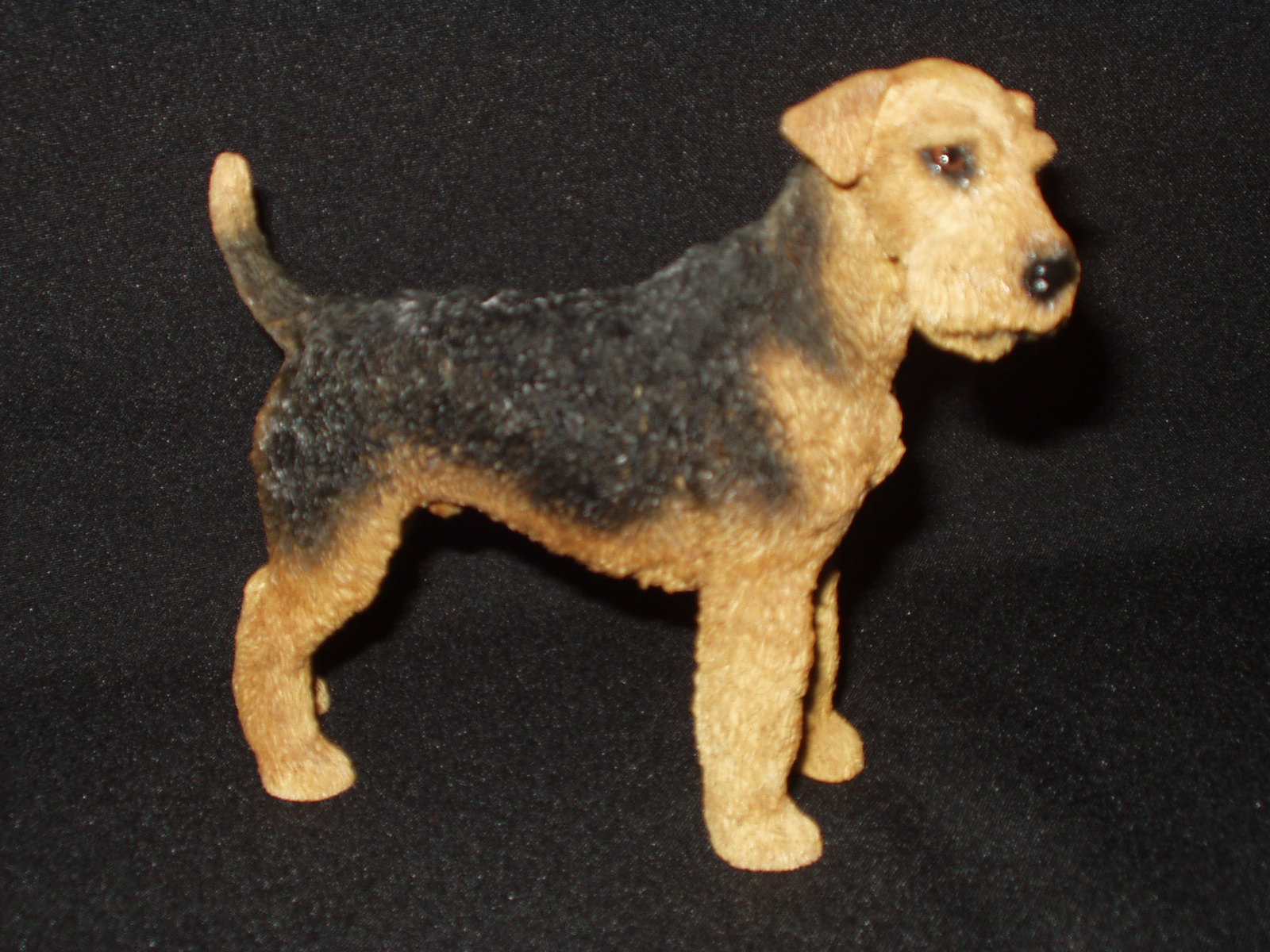 Dogs: Category A,Dog Breeds