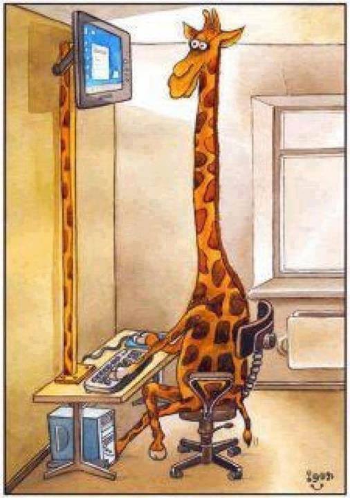 Giraffe, Using A Computer :D ~ Time For Laughing