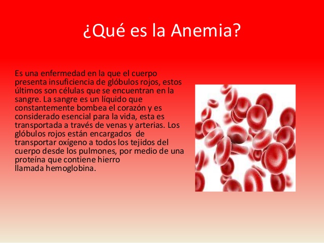 ¿qué es la anemia y por qué se produce? – que es la anemia en adultos ...
