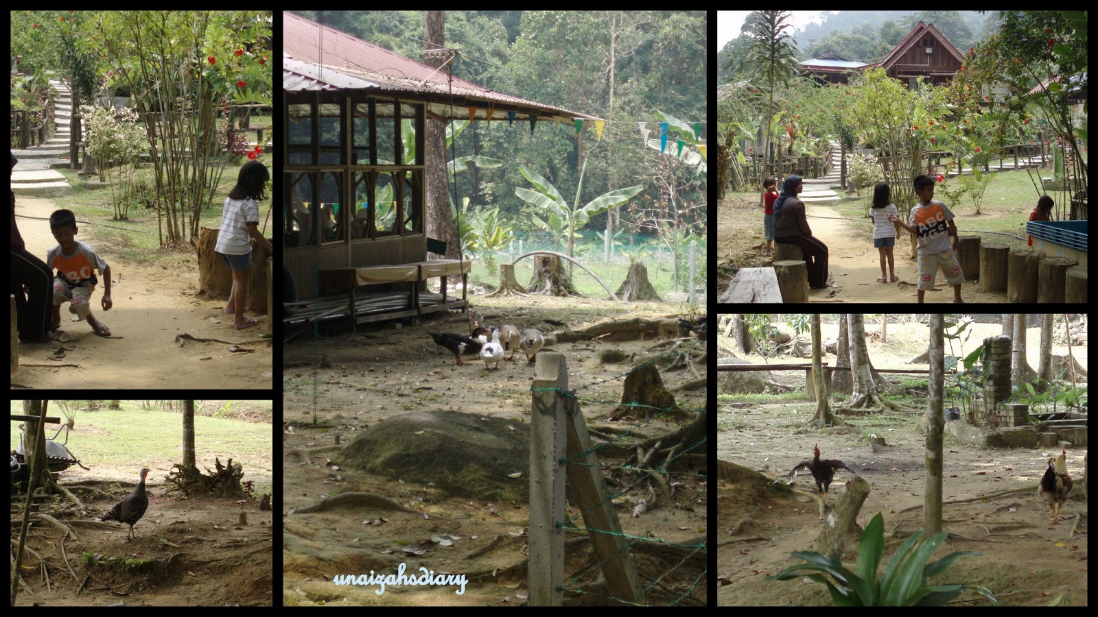 Memories Experiences Thoughts Hopes Dreams: Kawasan Rekreasi Sungai ...