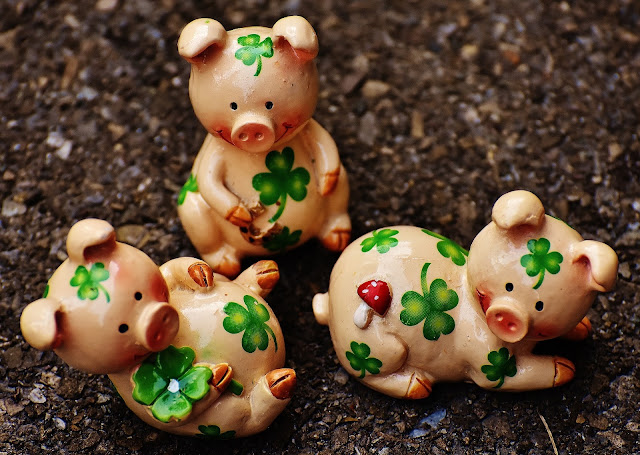 Mundo Esotérico : Objetos que atraen buena suerte