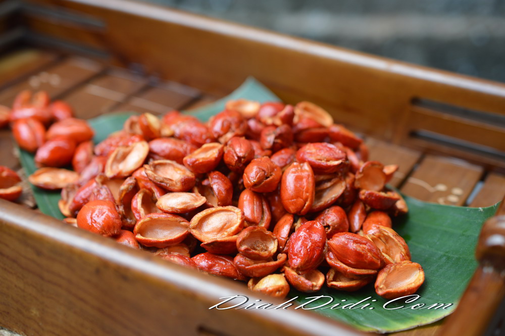 Intensive Reading: Benefits of Melinjo Skin