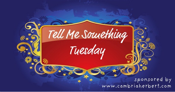 Erin Danzer, YA Author: January 2012