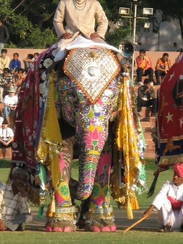 Postmodern Royalty: Jaipur at Holi & Elephant Festival Time.... Maybe ...