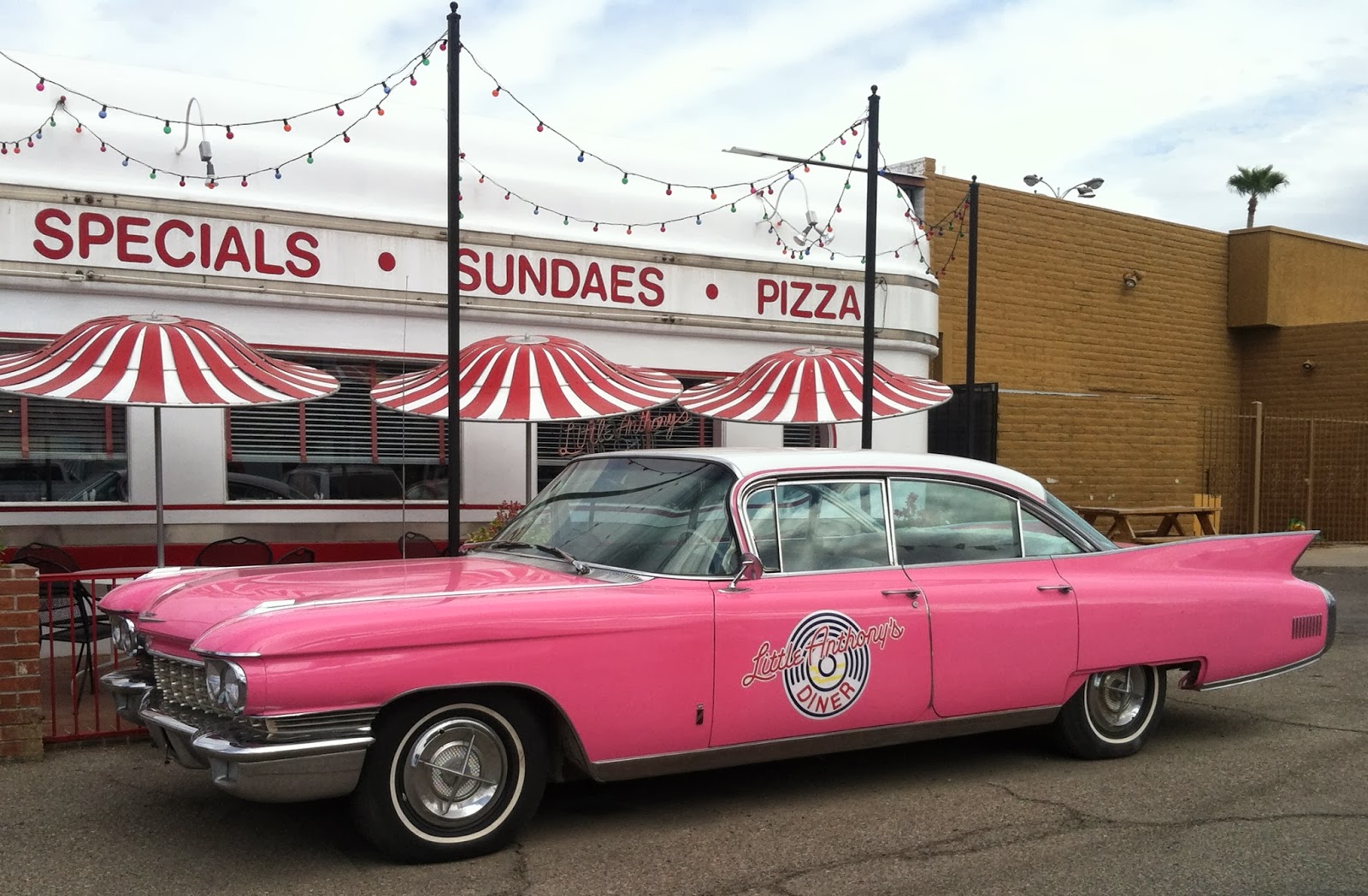 Tucson Daily Photo ~: February 2014